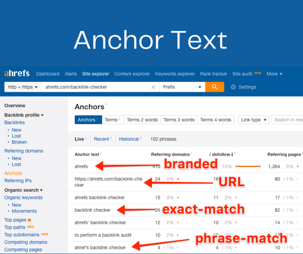 Unlock The Power Of Website Anchor Text In 2023: Learn The 7 Types And ...